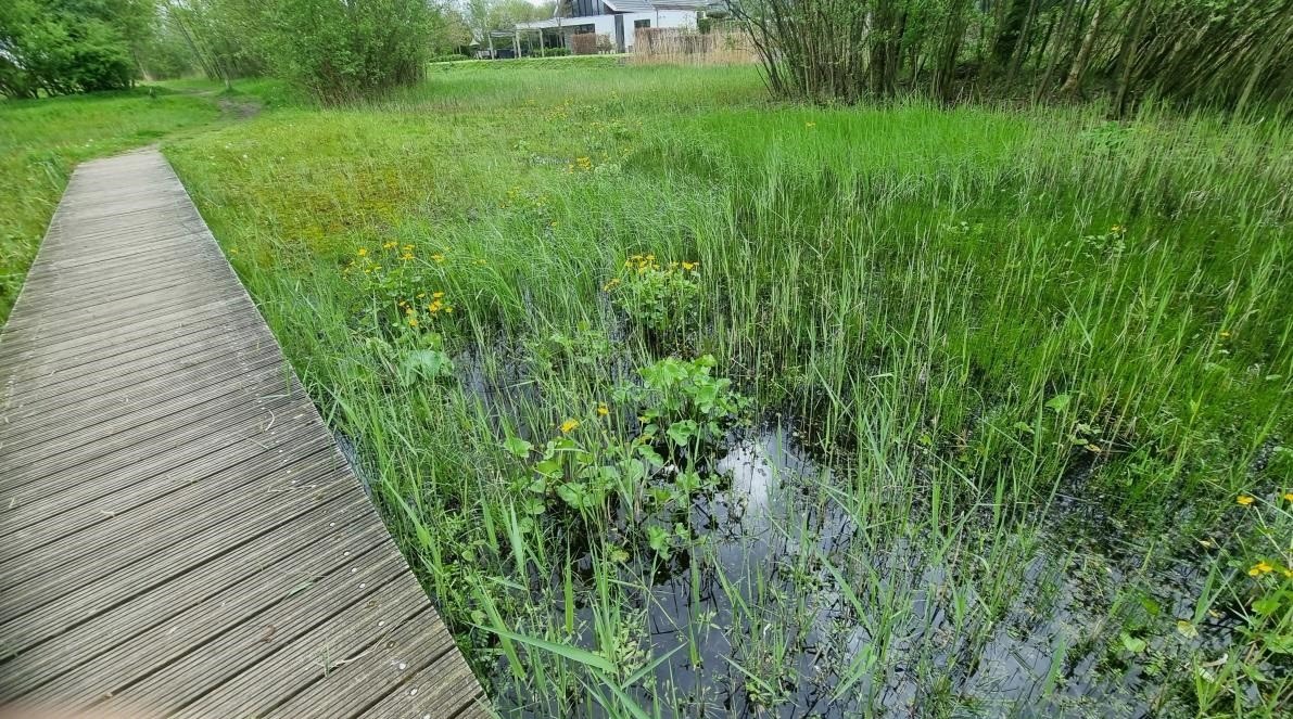 Webinar 12 maart: De Groene Grens tussen Ede en Veenendaal - Mooi ...